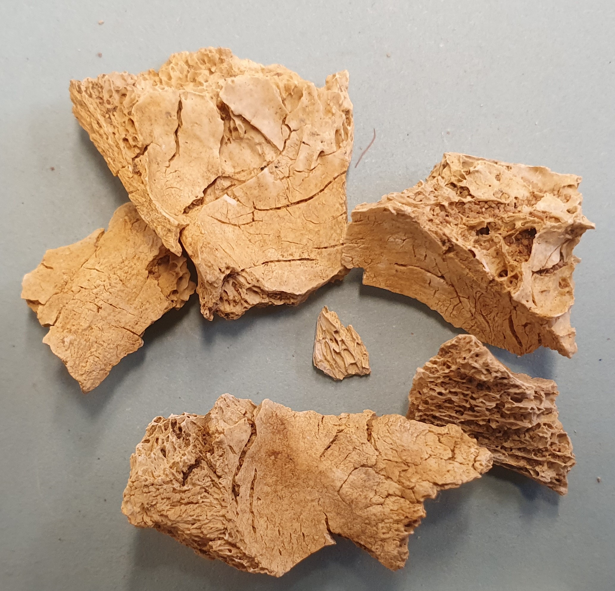 Världens äldsta dalkulla - Populär Arkeologi